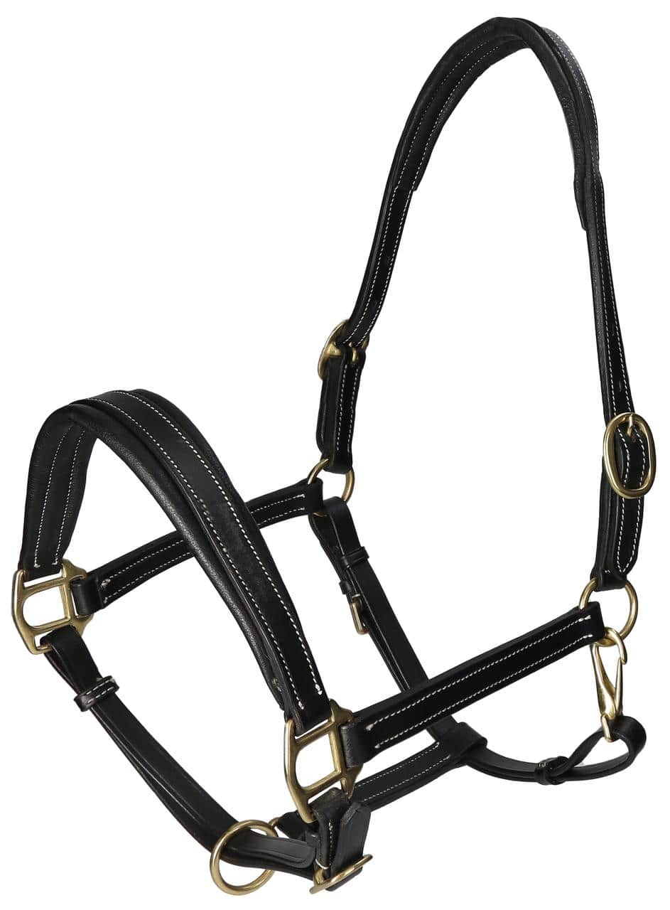 WAHL-Hausmarke Licol TenderMe, en cuir » Taille: Poney, Couleur: noir ...